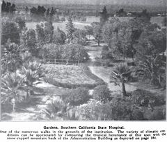 Patton State Hospital Image Gallery - Asylum Projects