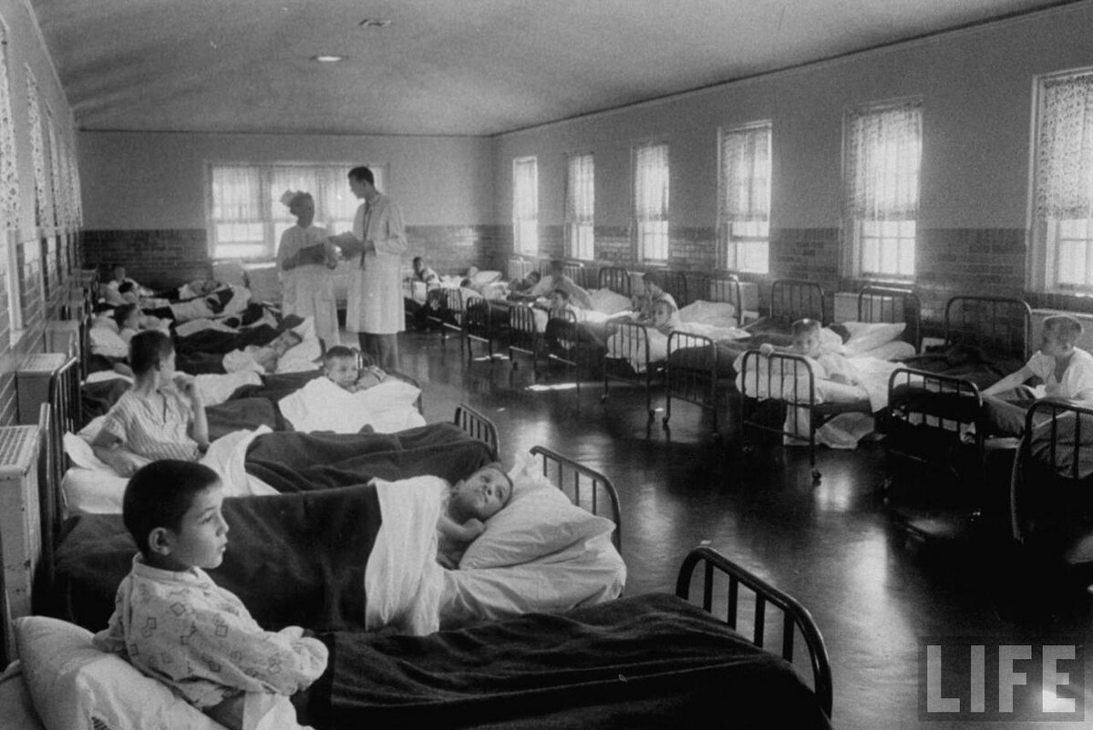 File:DixonAsianFlu3.jpg - Asylum Projects