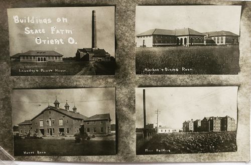 Orient Institute - Asylum Projects